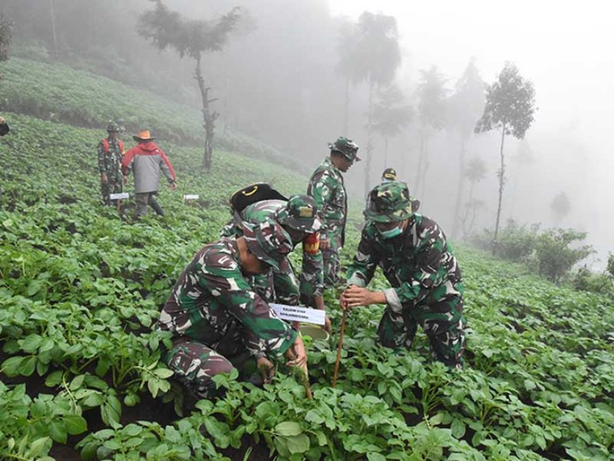 Kegiatan Reboisasi dan Penghijauan TA 2023 Kodim 0704 Banjarnegara ...